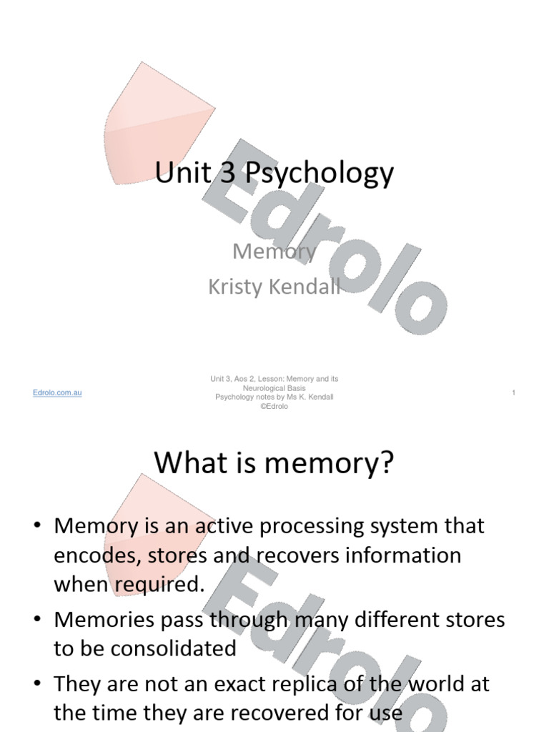 Memory and Its Neurological Basis | PDF | Memory | Synapse
