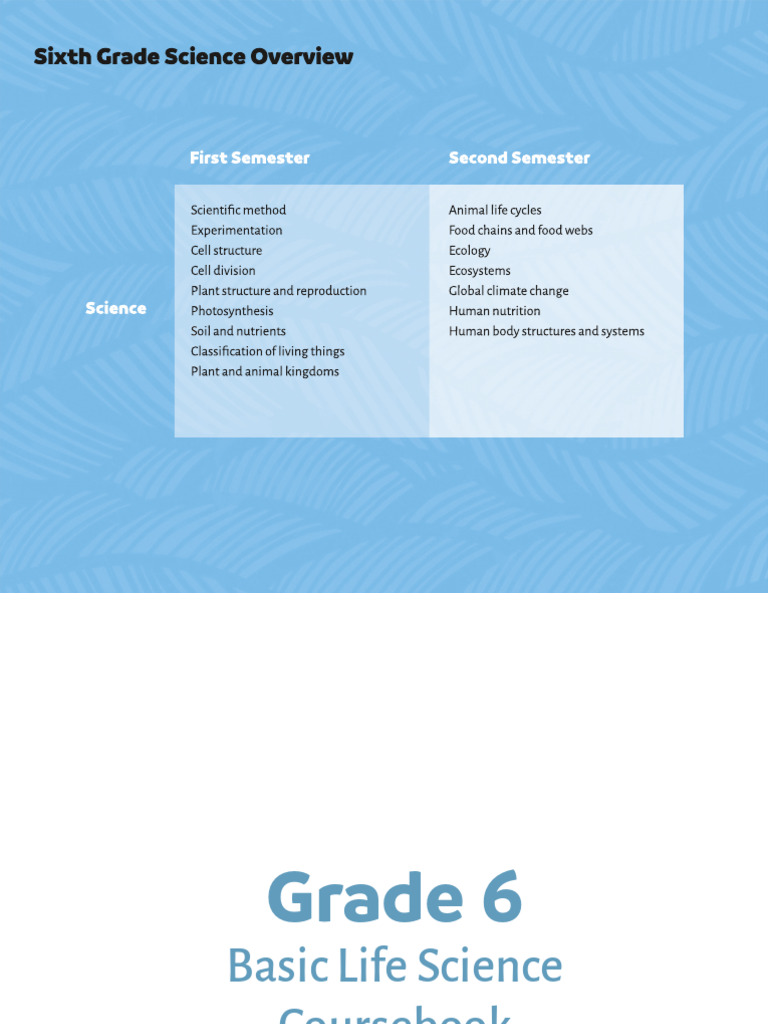 G6 Science Course | PDF | Experiment | Scientific Method