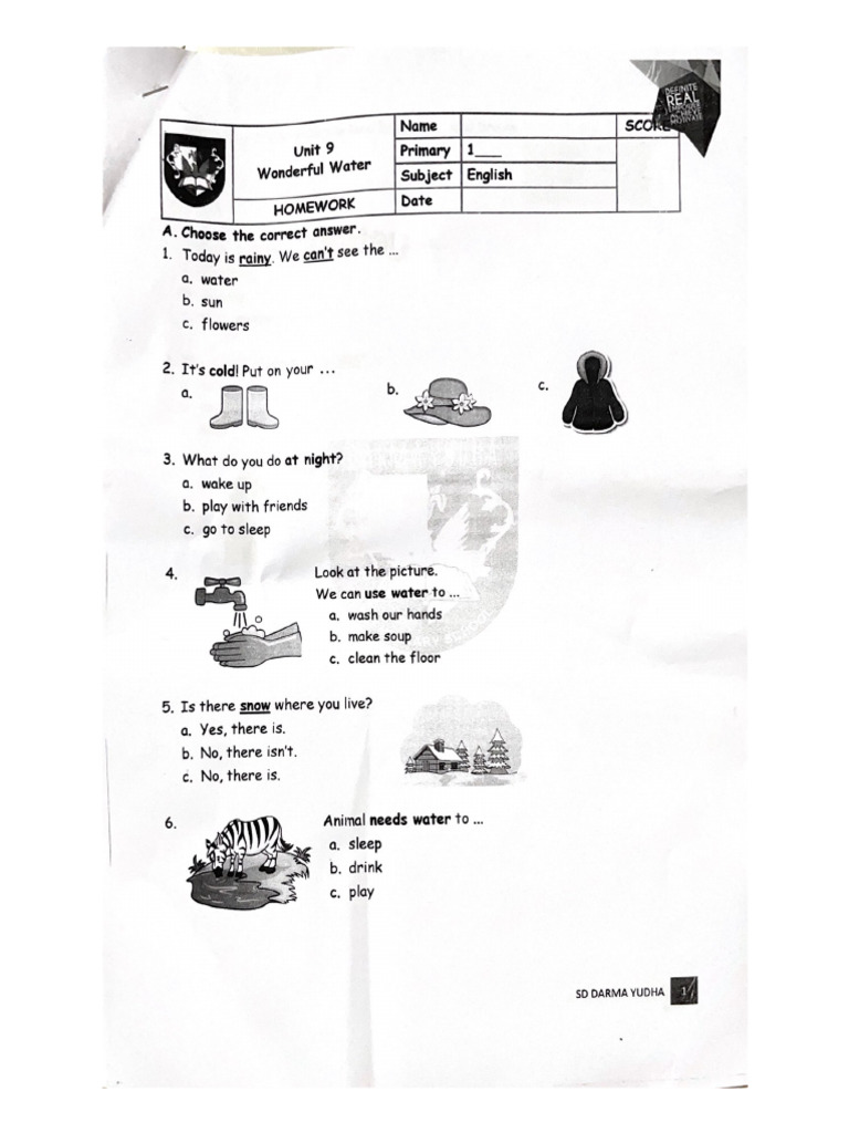 Primary 1 English Unit 9 Wonderful Water | PDF