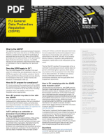 Ey Protecting Your Data Brochure | PDF | Information Security ...