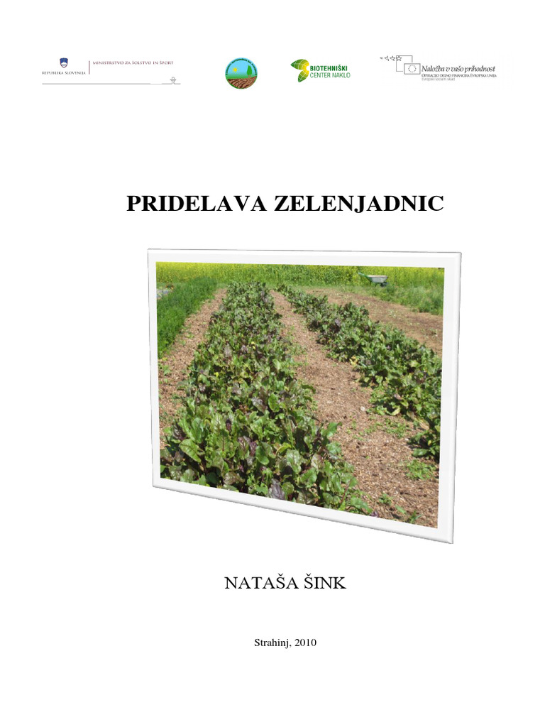 Dokumen - Tips Pridelava Zelenjadnic | PDF
