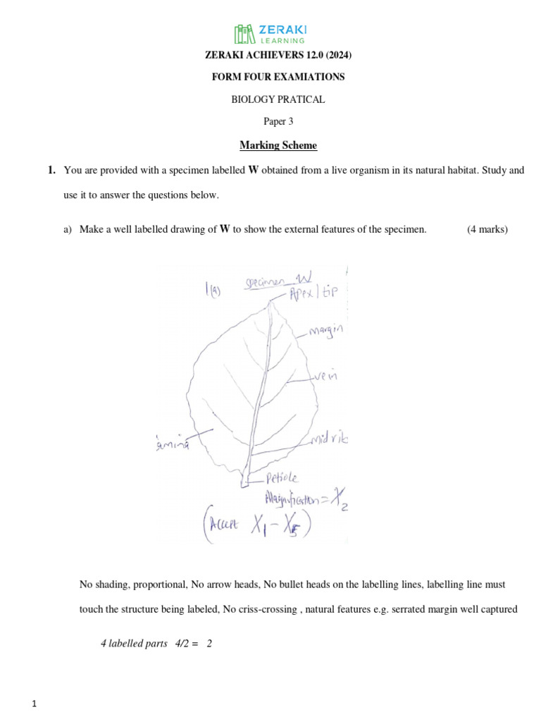 Biology - Paper 3 - Marking Scheme | PDF | Leaf | Stoma