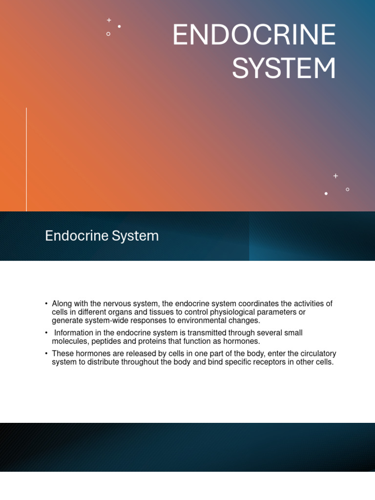 Histology Lecture 7 - Endocrine System | PDF | Endocrine System ...