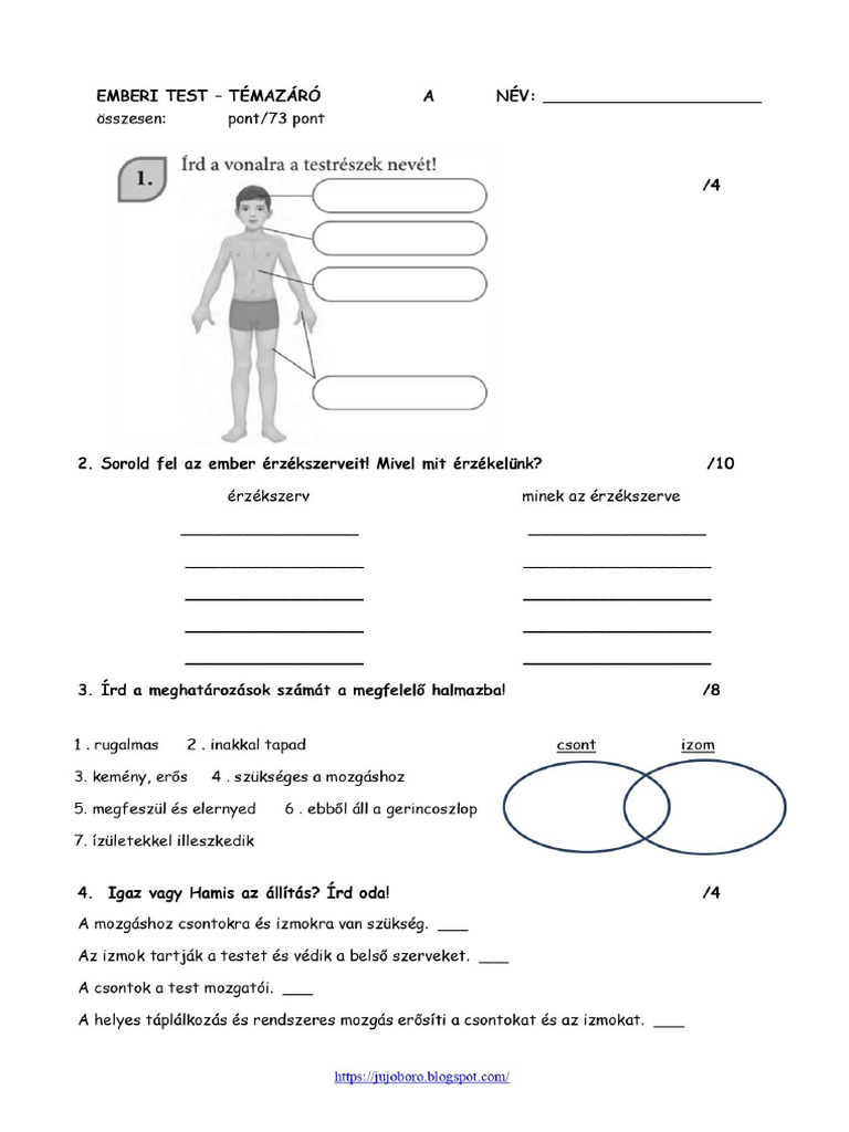 Az Emberi Test 4. o | PDF