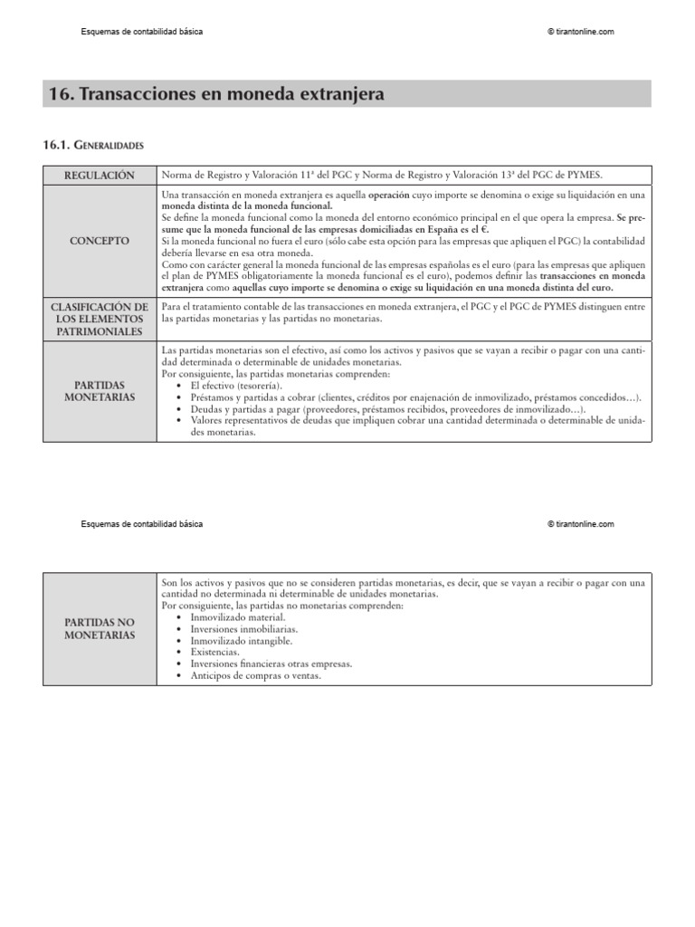Esquema transacciones moneda extranjera | Descargar gratis PDF ...