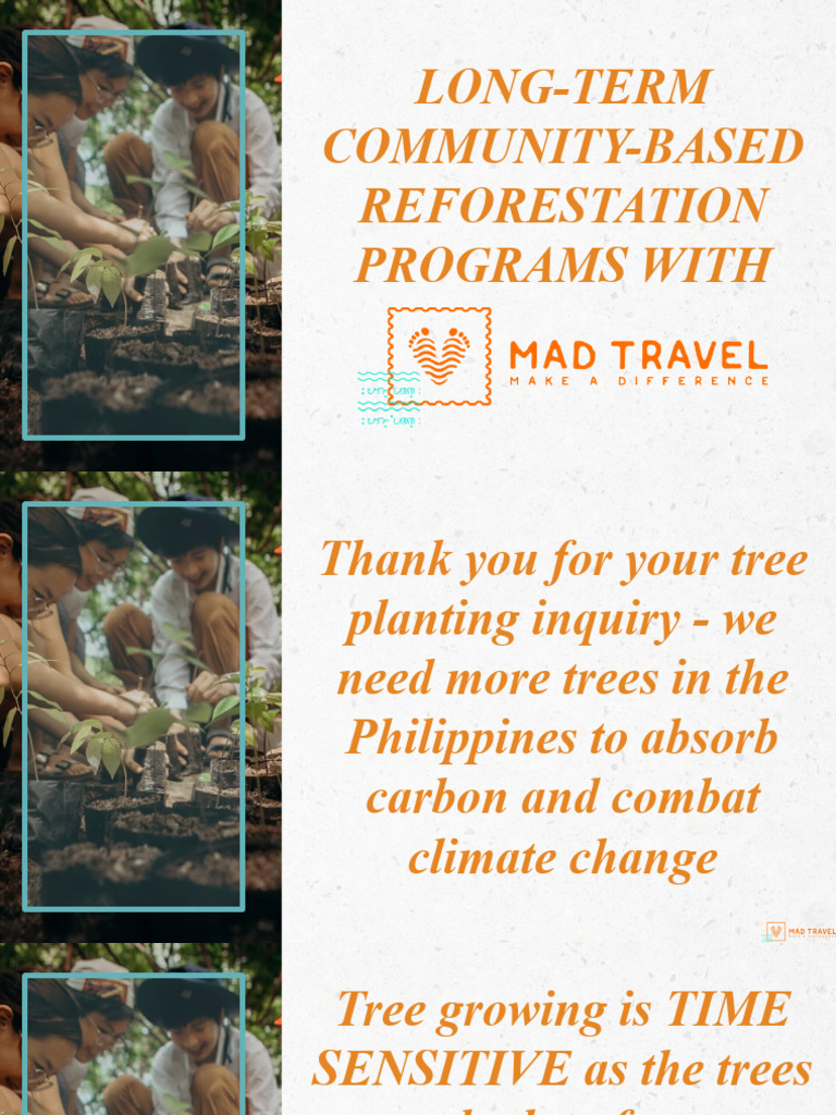 Tree Growing Process (Reforestation) & Activities by MAD Travel | PDF ...