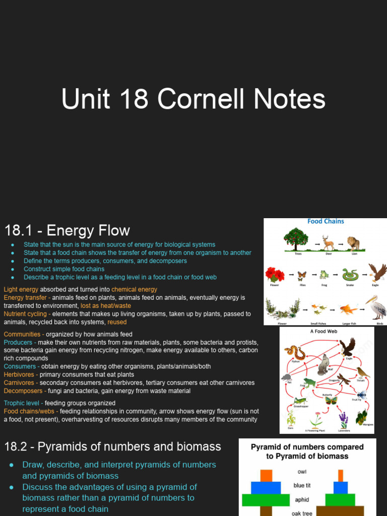 Unit 18 Cornell Notes | PDF | Food Web | Decomposition