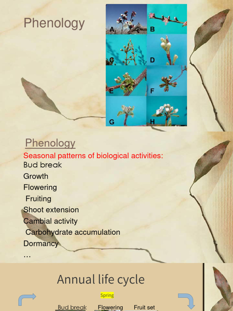 1.2 Fruit_tree_phenology | PDF