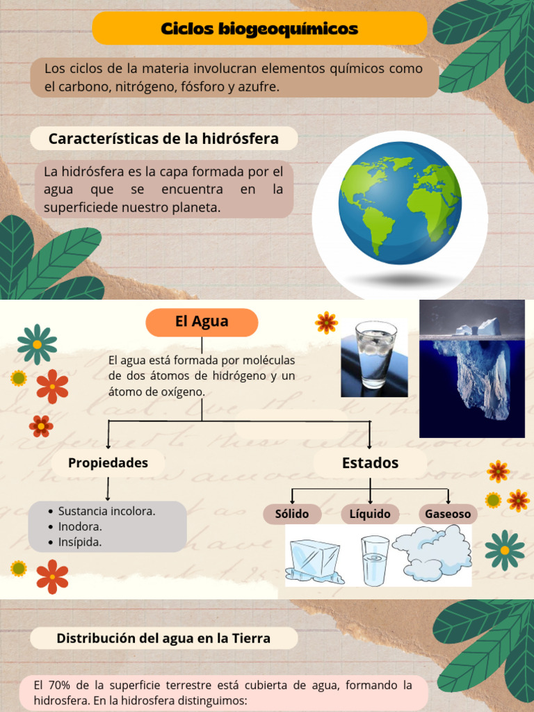 Distribución Del Agua | PDF | Ciencias sociales | Ciencia y matemáticas