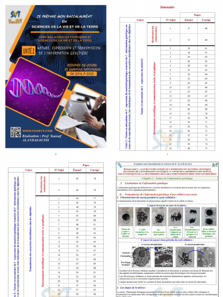 Unit2-Nature-Expression-Transfert-Loi-Info-Genet | PDF