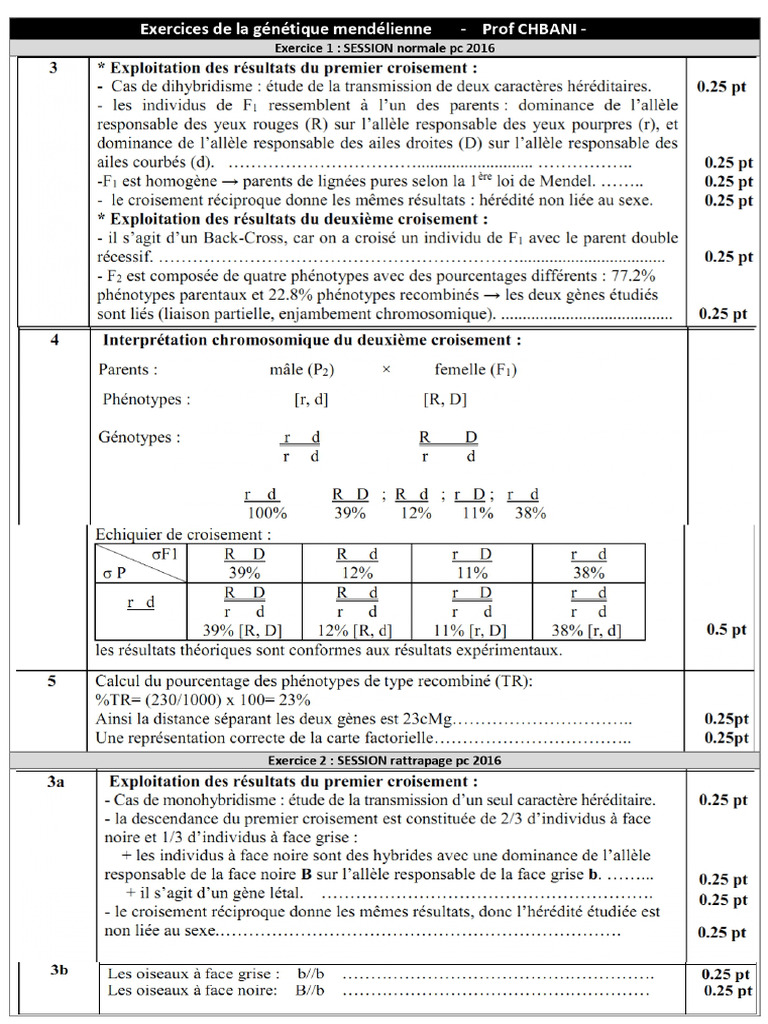 Corr Exam Lois | PDF