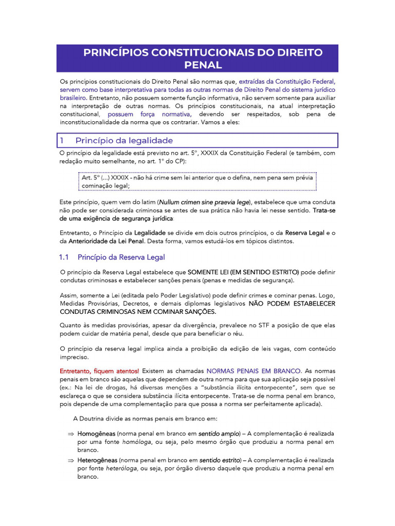Princípios Do Direito Penal | PDF