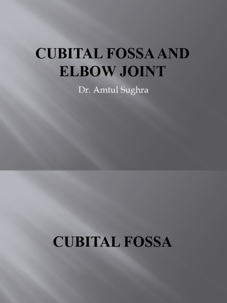 Cubital Fossa and Elbow Joint | PDF | Elbow | Arm