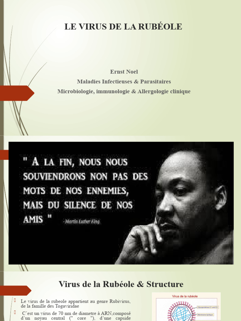 Le Virus de La Rubeole | PDF | Immunologie | Médecine clinique