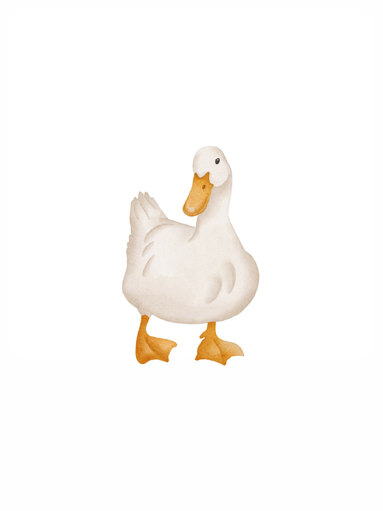 Farm Animals (Document A5 | PDF