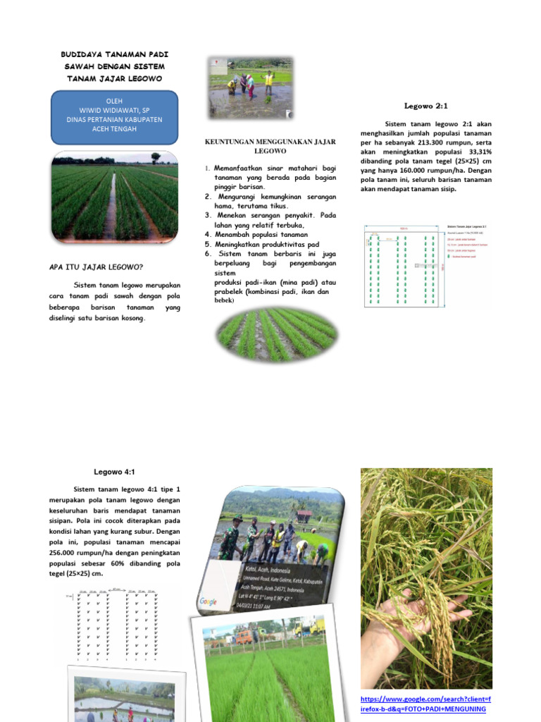 FOLDER BUDIDAYA TANAMAN PADI SAWAH DENGAN SISTEM TANAM JAJAR LEGOWO ...