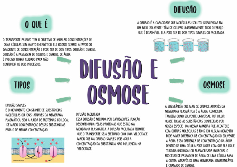 Mapa Mental Difusao e Osmose | PDF