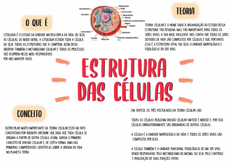 Mapa Mental - Estrutura Das Células | PDF