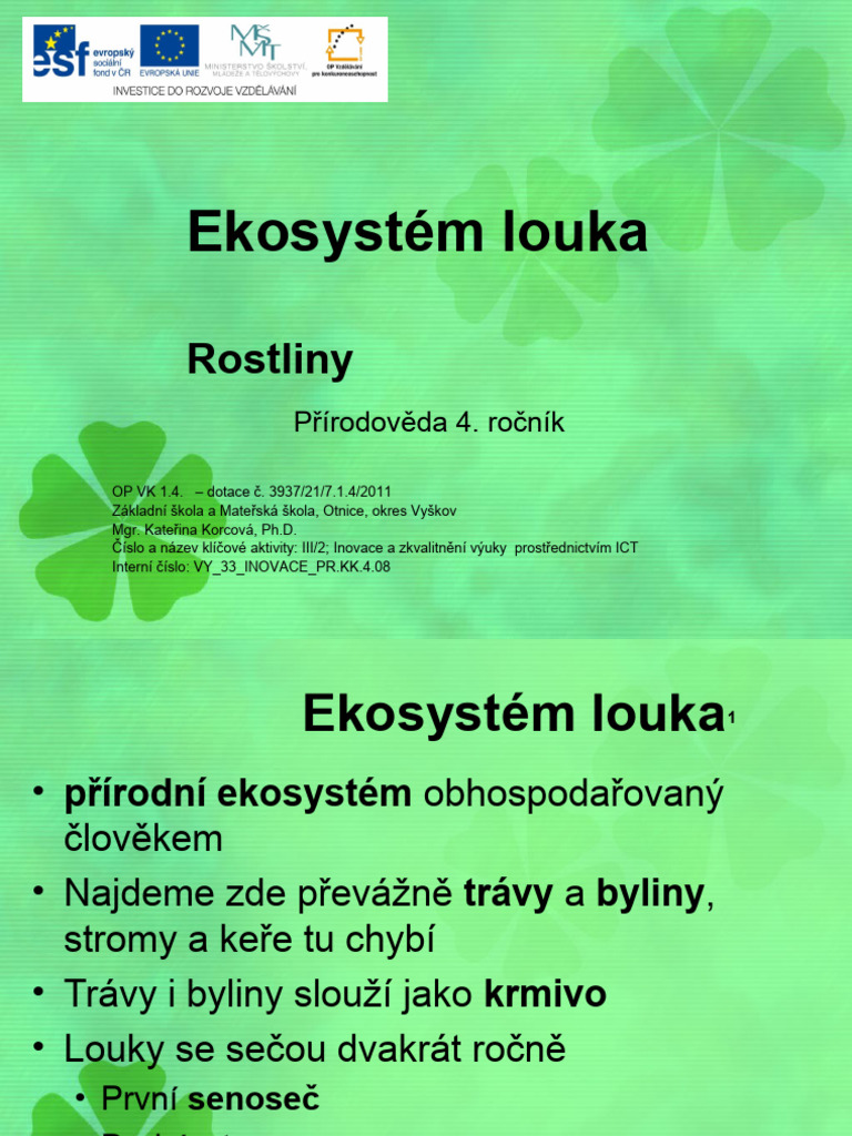 Ekosystém Louka - Rostliny | PDF