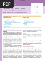 Guía de Reparos Anatómicos Óseos | PDF