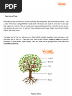 Oxygen Production by Trees Explained | PDF | Oxygen | Trees