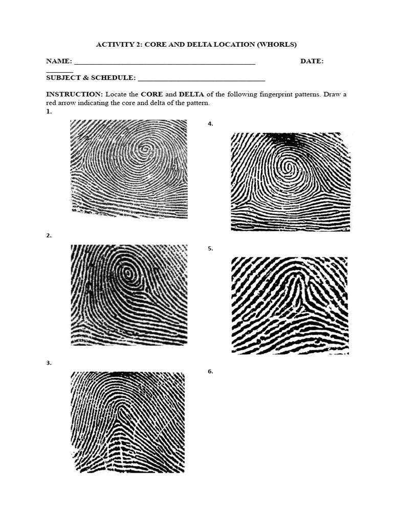 Fingerprint Core & Delta Activity | PDF