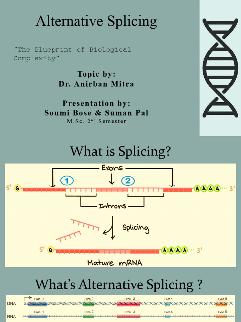 Alternative Splicing Overview | PDF | Philosophy | Science & Mathematics