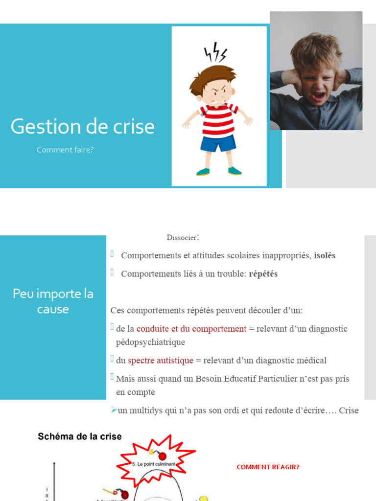 Gestion de Crise | PDF