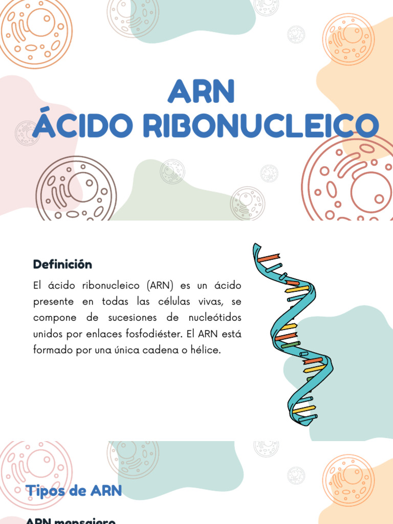 7 ARN Estructura | PDF | Ciencia y matemáticas