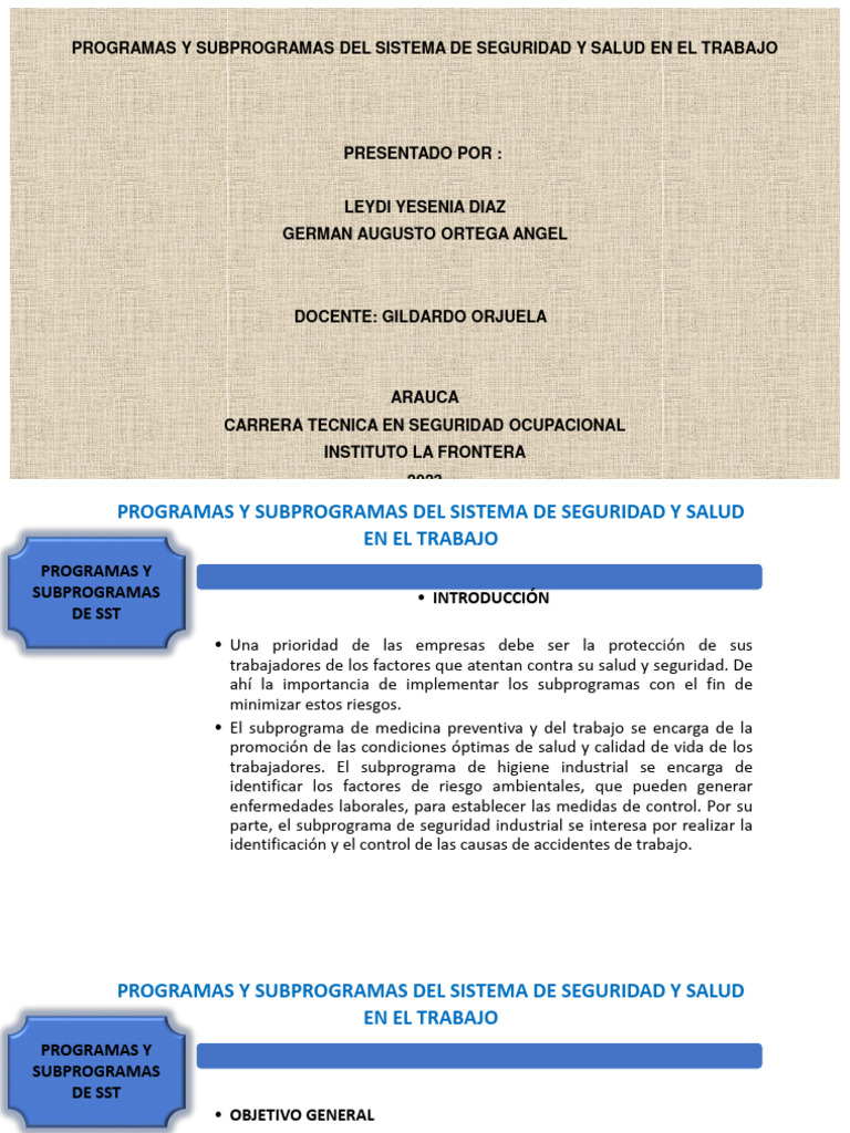 Programas y Subprogramas de Sst | PDF | Higiene Ocupacional | Riesgo