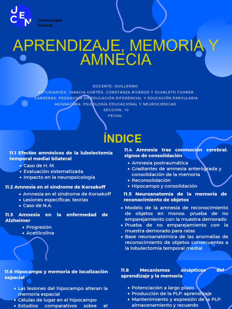 Aprendizaje, Memoria y Amnesia 20240602 225739 0000 | PDF | Amnesia | Hipocampo