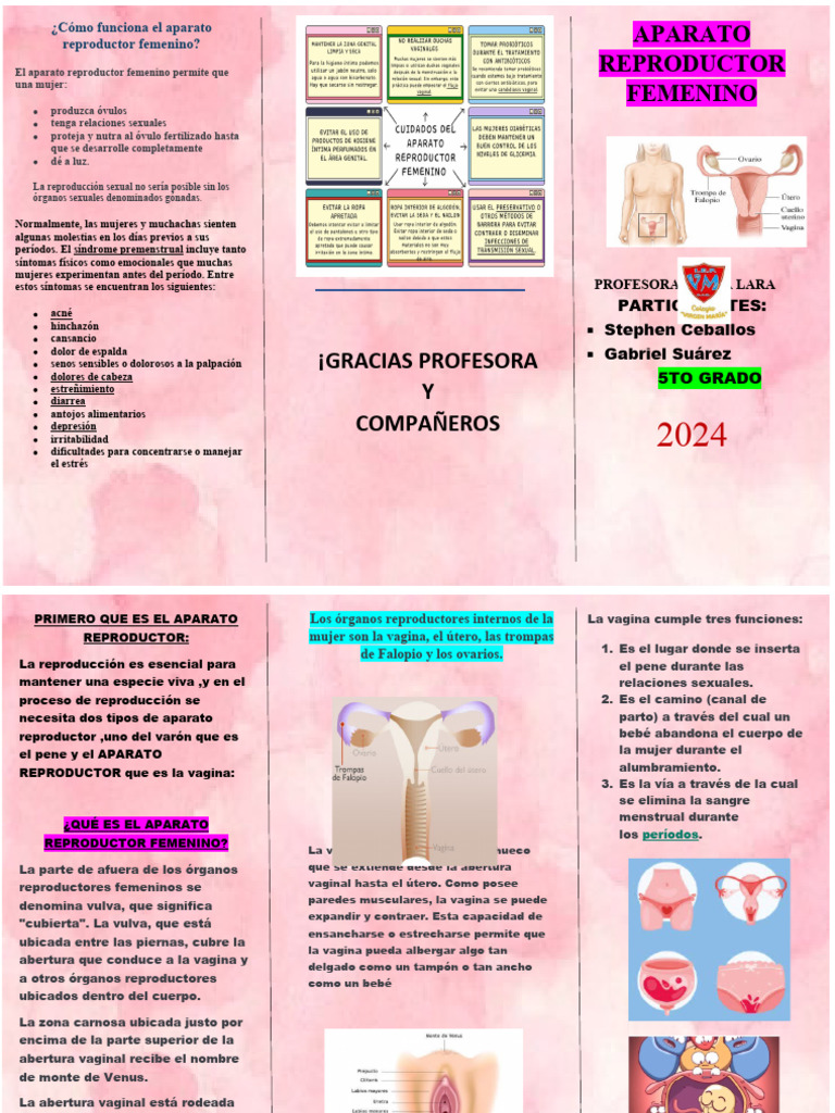 triptico aparato reproductor femenino | Descargar gratis PDF | Vagina | Sistema reproductivo