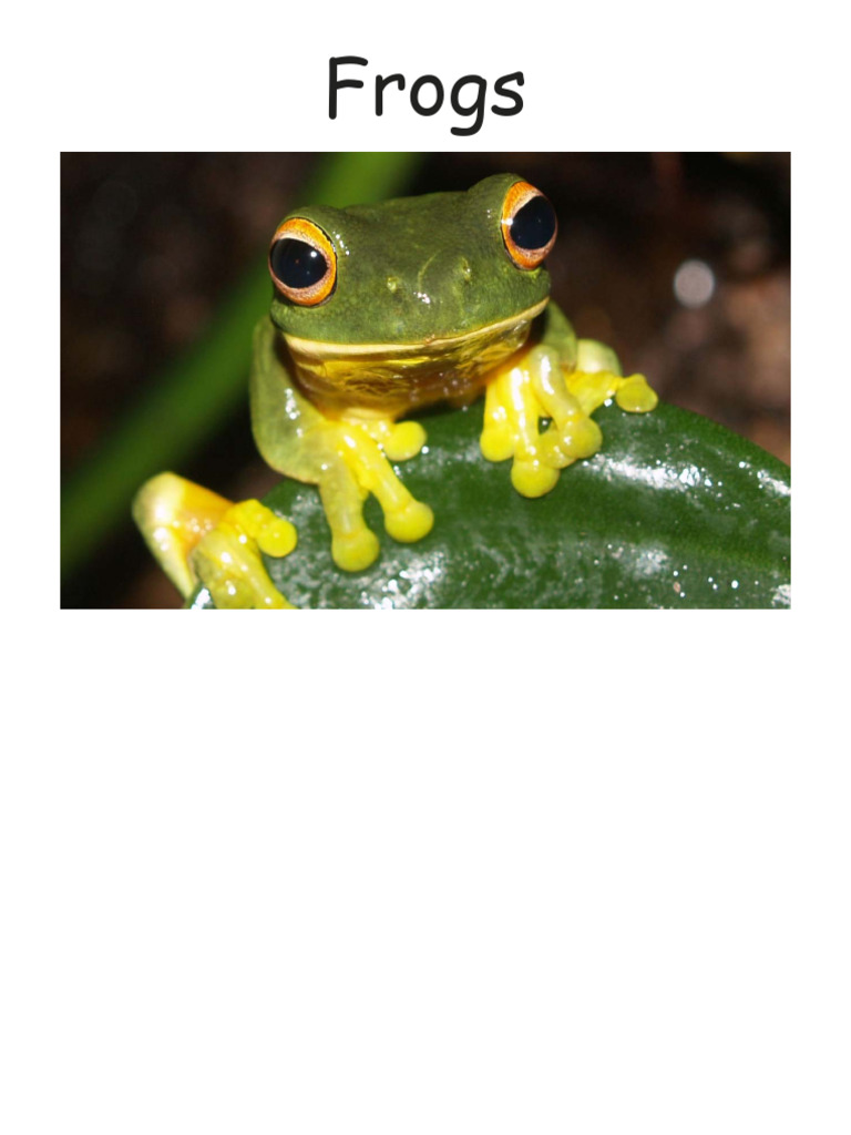 Frogs Friction | PDF | Frog | Creative Commons License