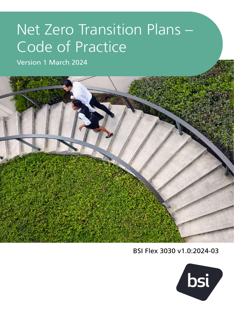 Flex 3030 Net Zero Transition Plans | PDF | Greenhouse Gas ...