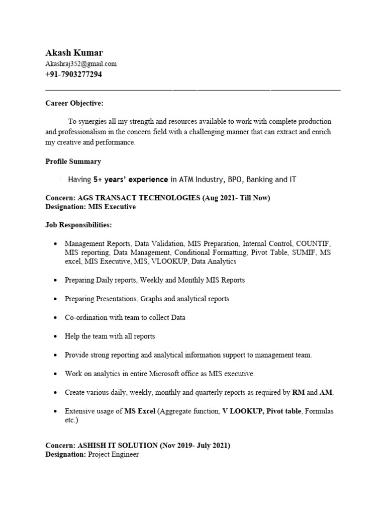 MIS Executive Resume | PDF | Microsoft Excel | Data Management
