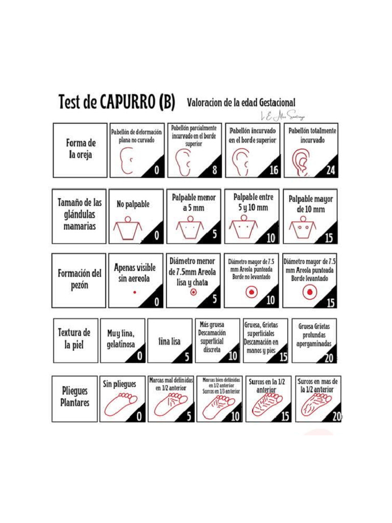 Capurro y Apgar | PDF