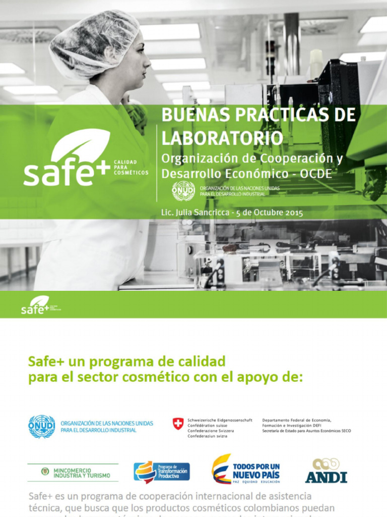 Conceptos BPL OCDE | PDF