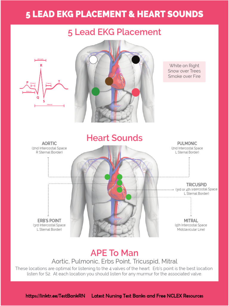 Cardiac 5-Lead EKG-Placement | PDF