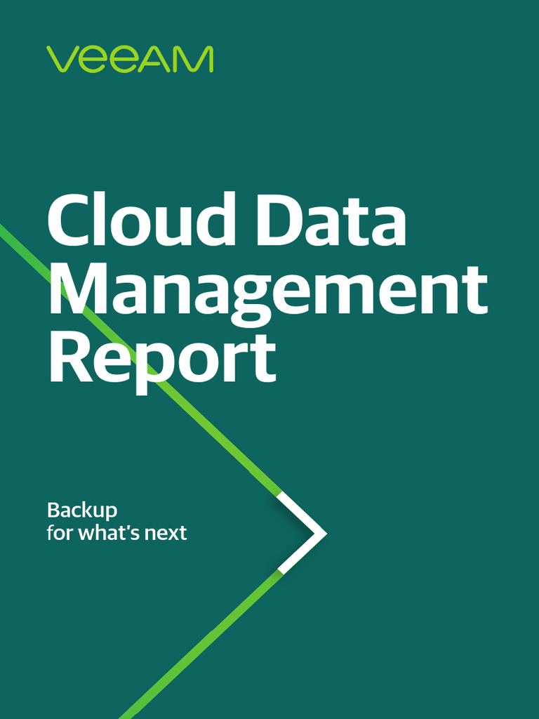 Veeam Mini Report Summary | PDF | Cloud Computing | Business