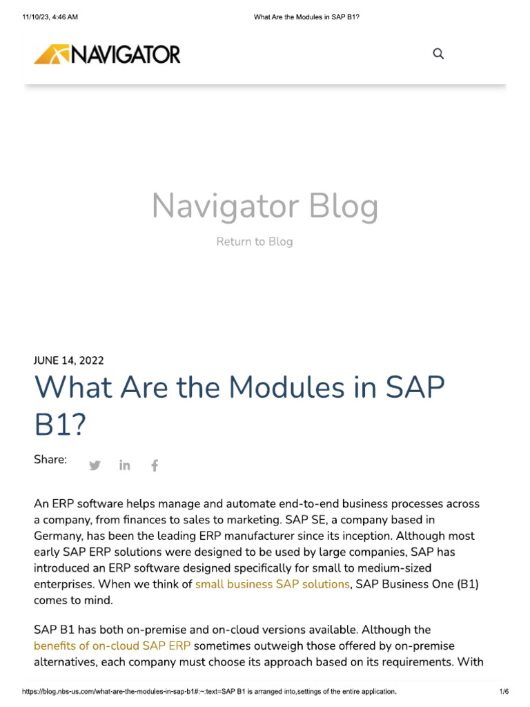 SAPB1 Modules | PDF