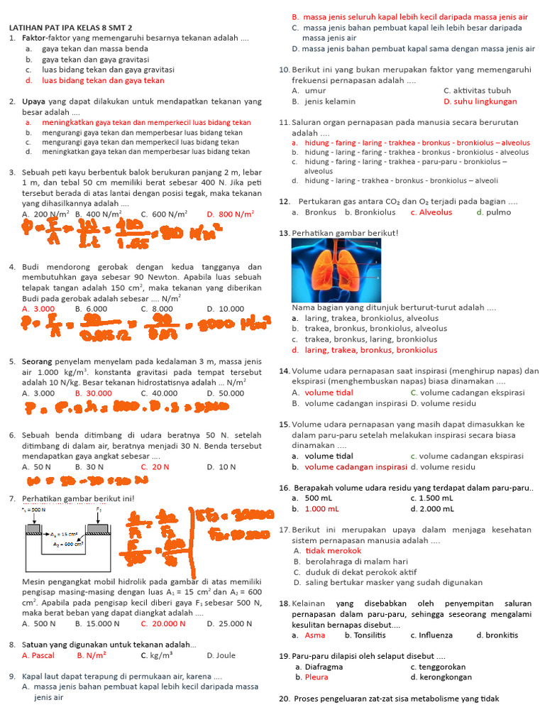 Jawaban Latihan Pat Ipa Kelas 8 SMT 2 | PDF