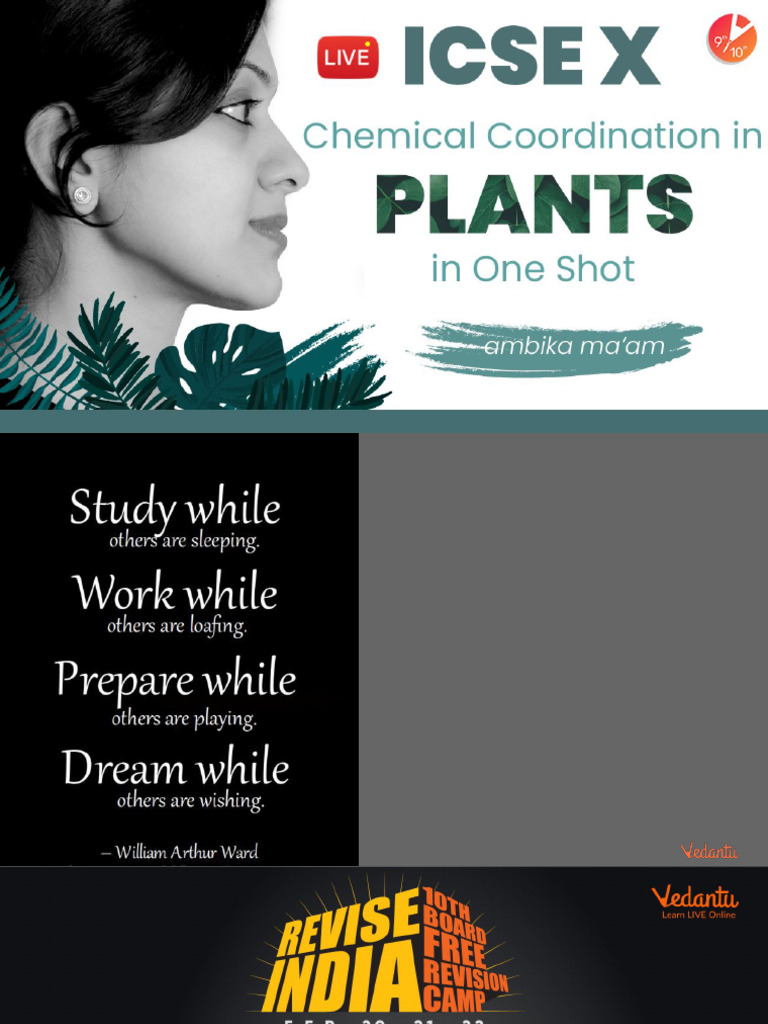 One+shot_6_Chemical+Coordination+in+Plants | PDF | Plant Hormone | Auxin
