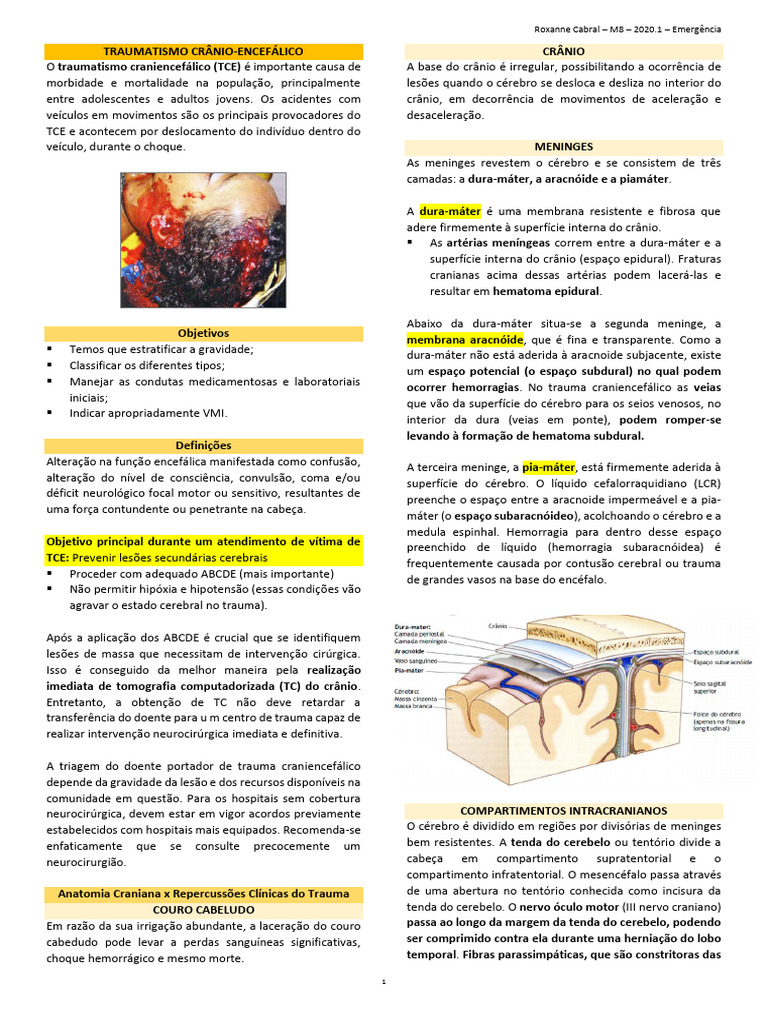 Traumatismo Crânio-Encefálico | PDF | Traumatismo craniano | Medicina ...
