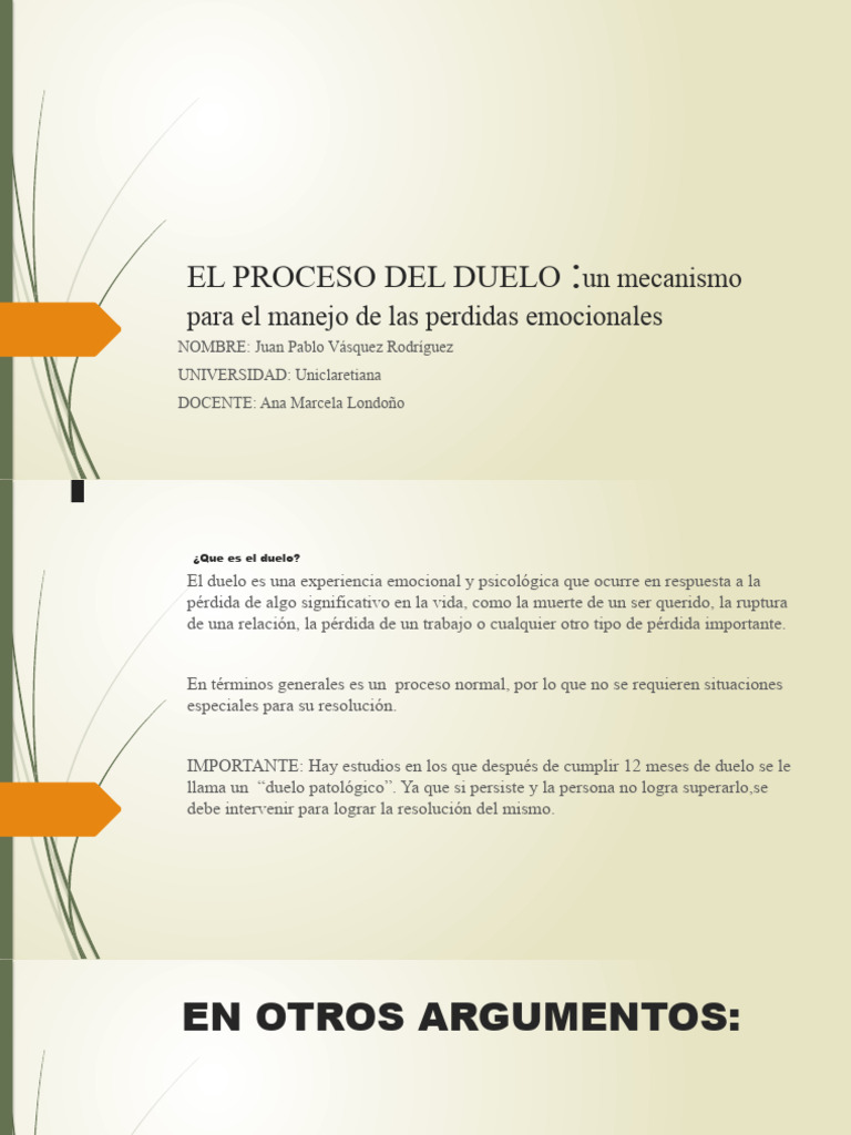 Proceso del Duelo: Etapas y Tipos | PDF | Dolor | Las emociones