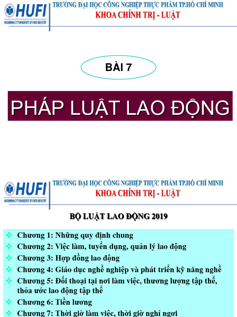 Bai 7 Luat-Lao-Dong | PDF