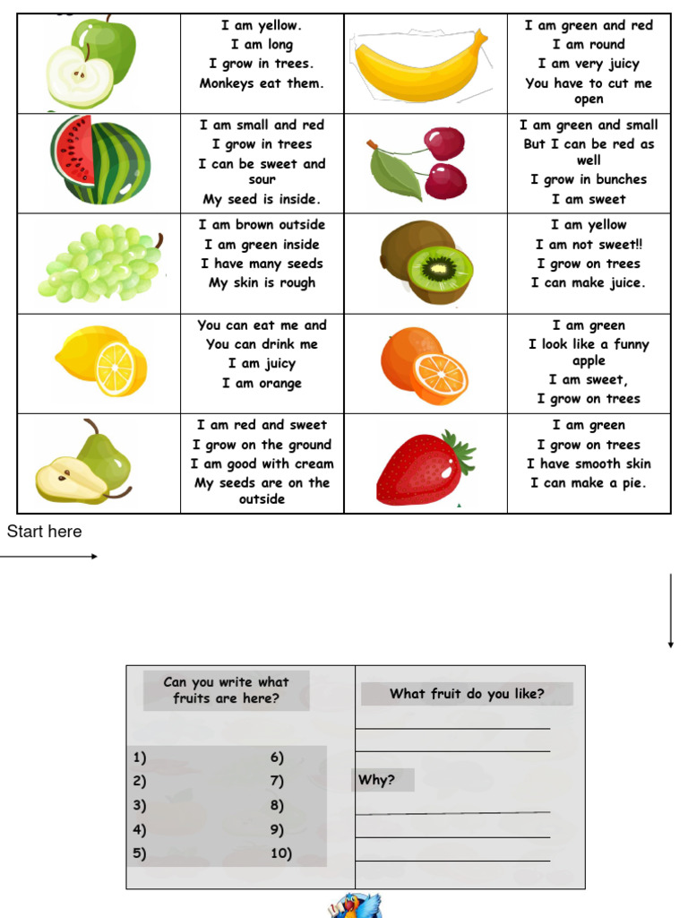 fruit | Download Free PDF | Fruit | Botany