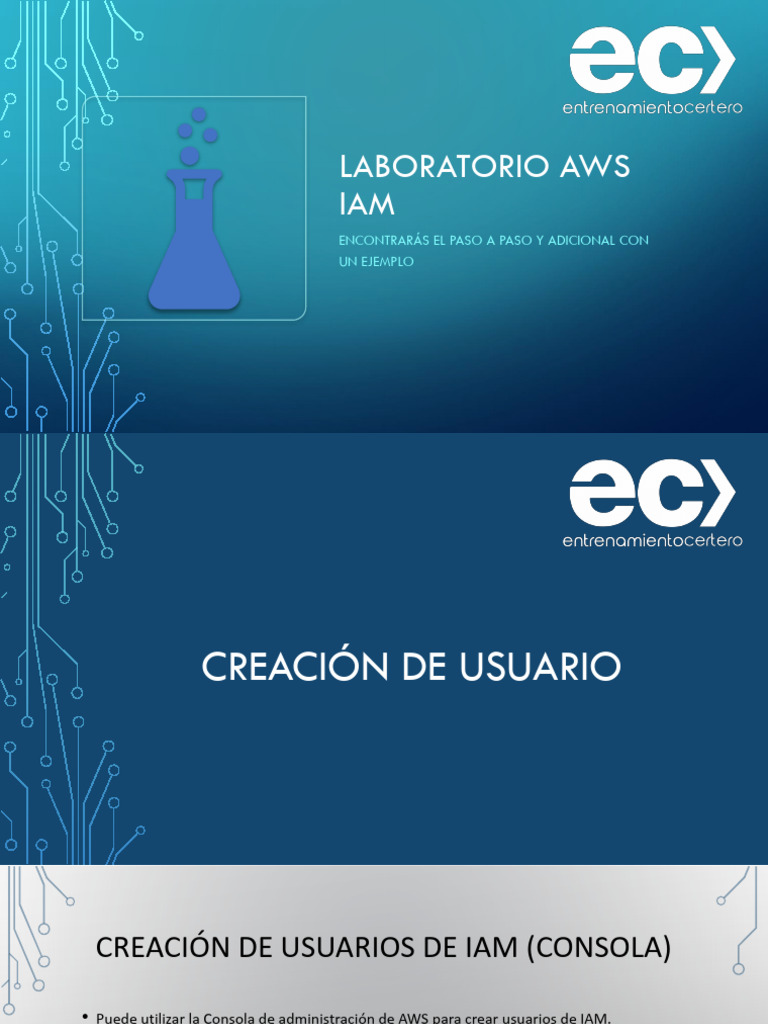 Laboratorio AWS IAM | PDF | Interfaz de línea de comando | Contraseña