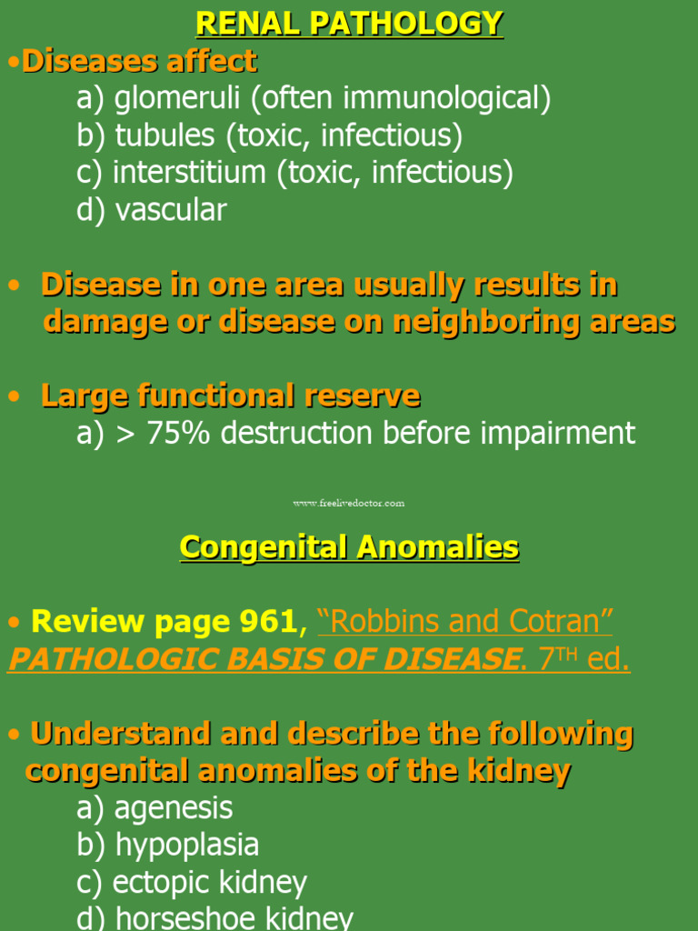 Overview of Renal Pathology and Diseases | PDF | Urinary Tract ...