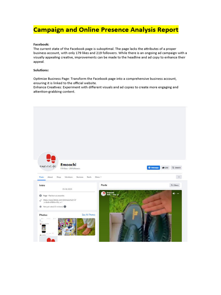Campaign and Online Presence Analysis Report Emoochi | PDF | Search Engine Optimization | Brand