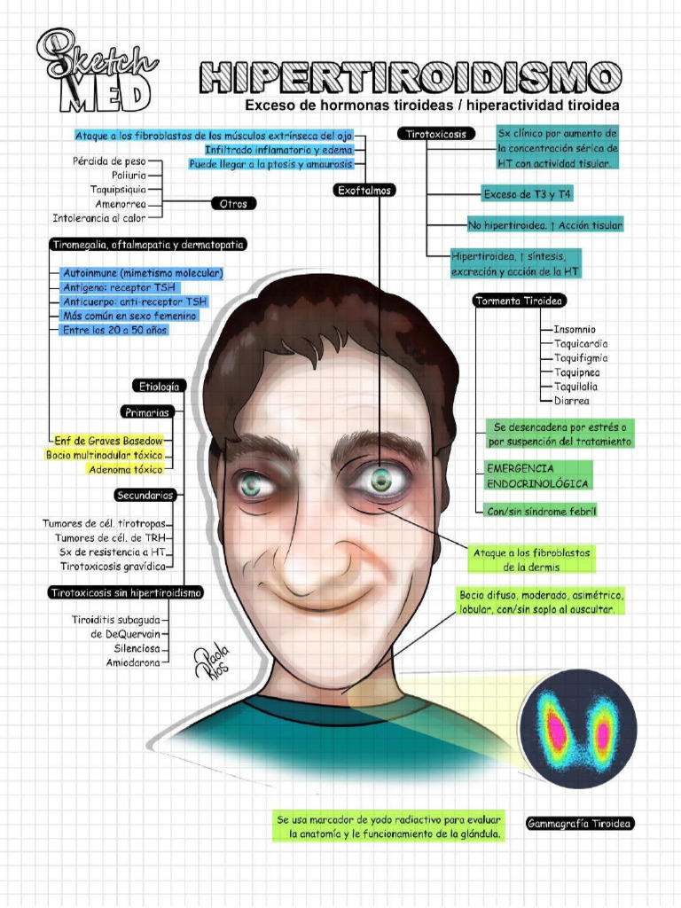 ATLAS 2 - Sketch Med 2021-38-39 | PDF